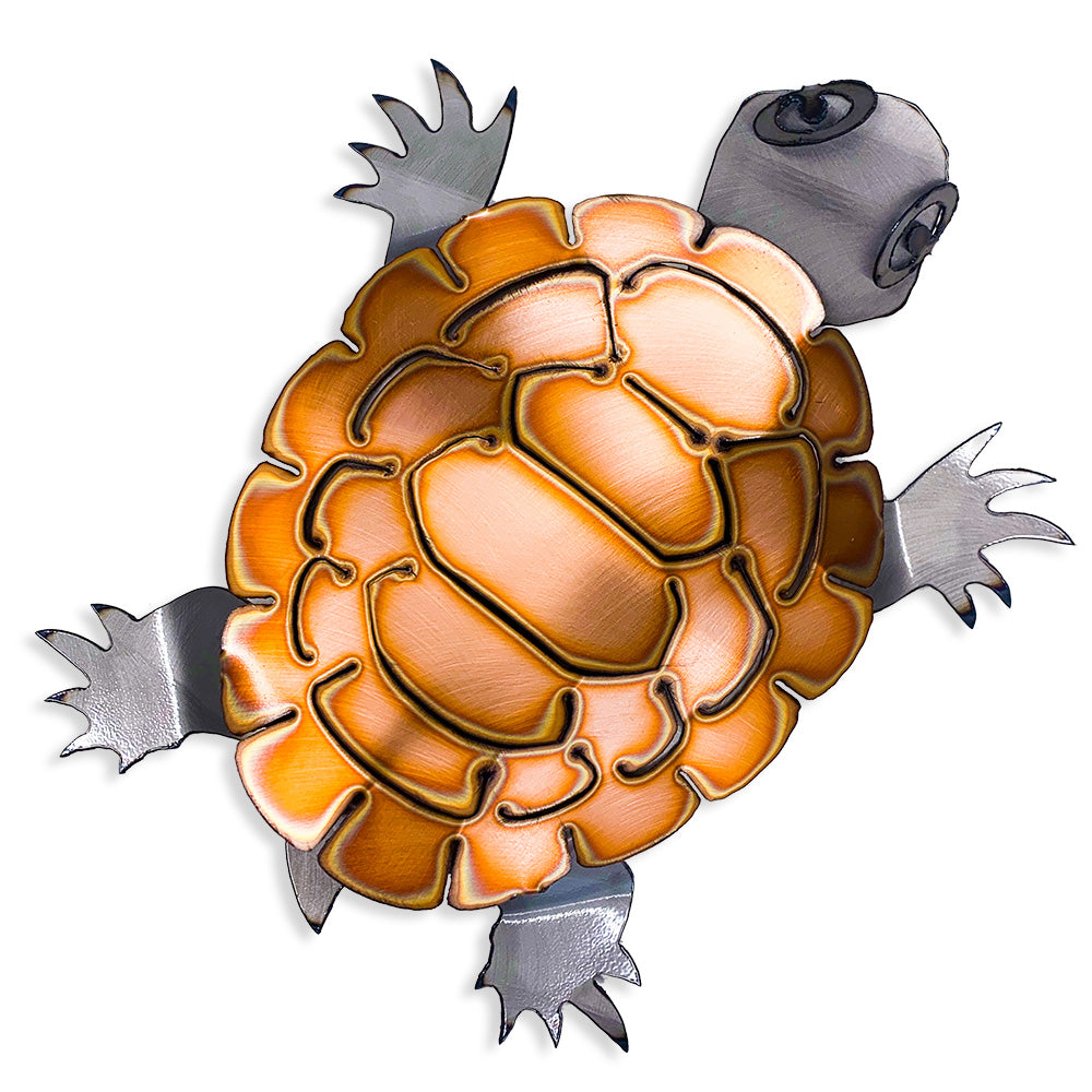 Tortoise – Copper River USA by Studio G7